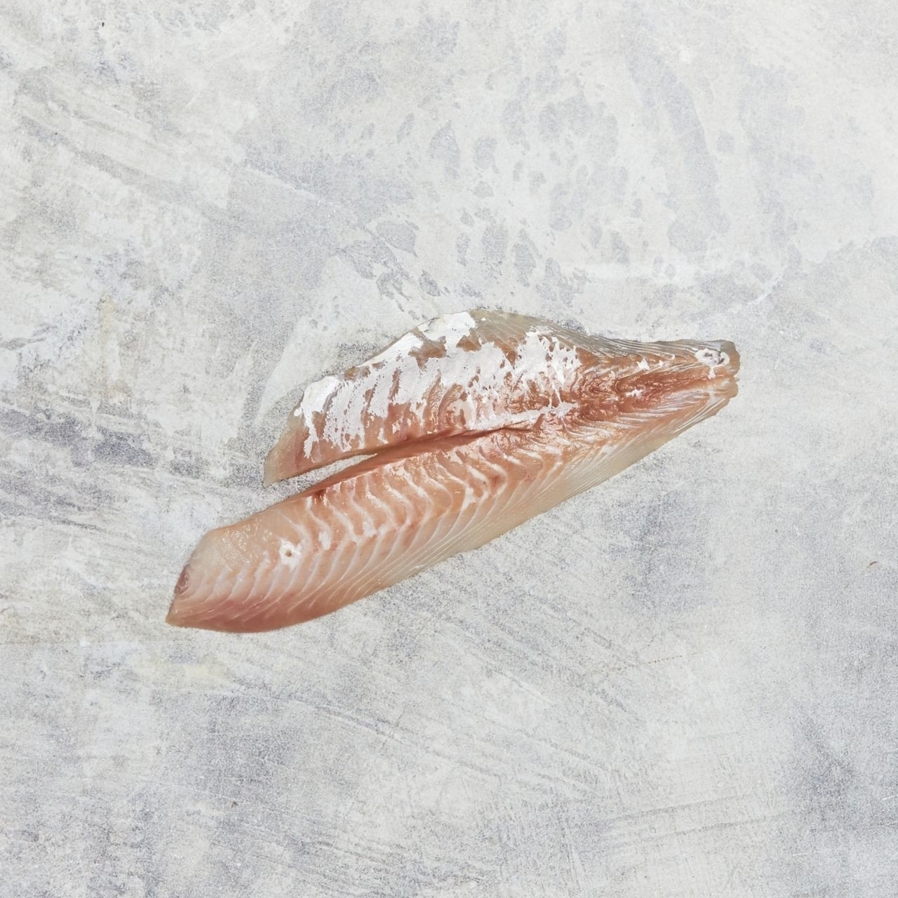 Sanford and Sons | Buy Tarakihi Fillets | Sanford and Sons