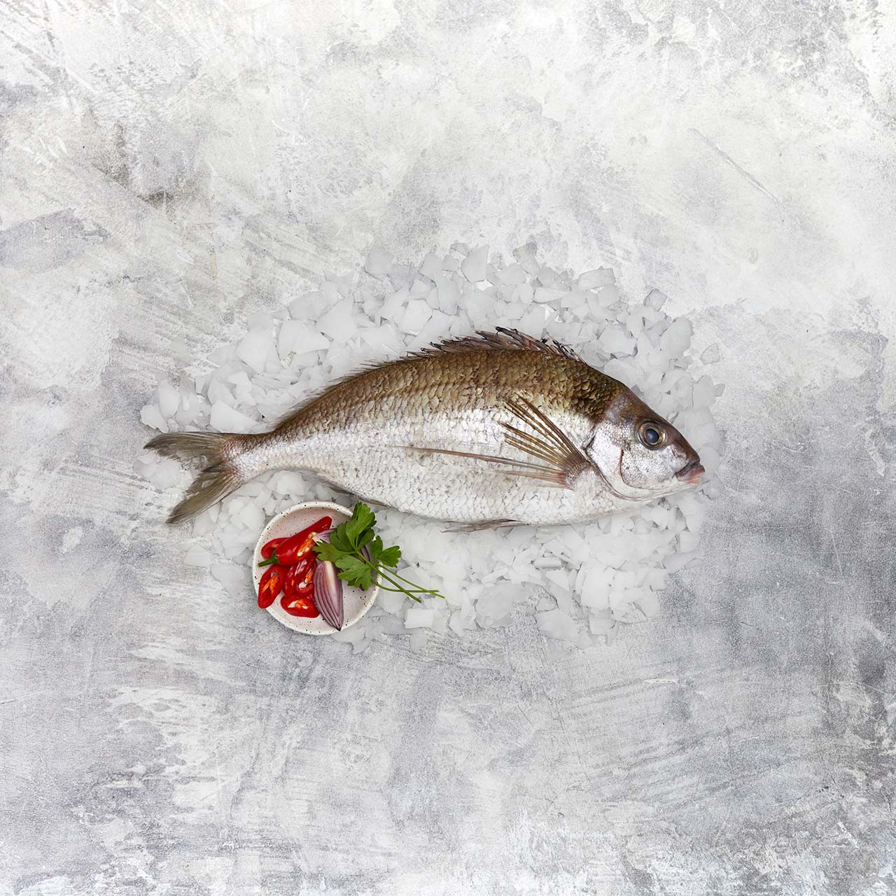 Sanford and Sons | Buy Whole Tarakihi Fish | Sanford and Sons