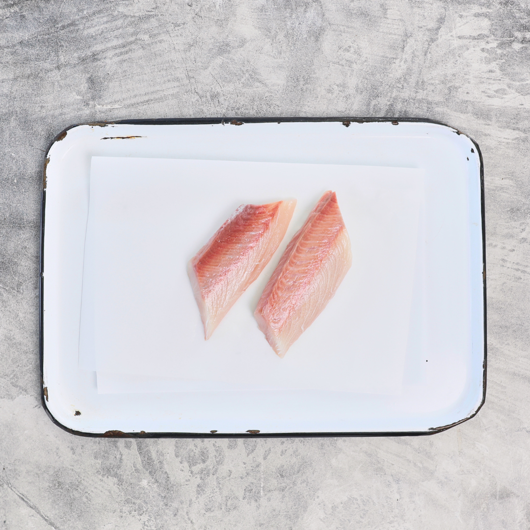 Sanford and Sons | Buy Kingfish Fillets | Sanford and Sons