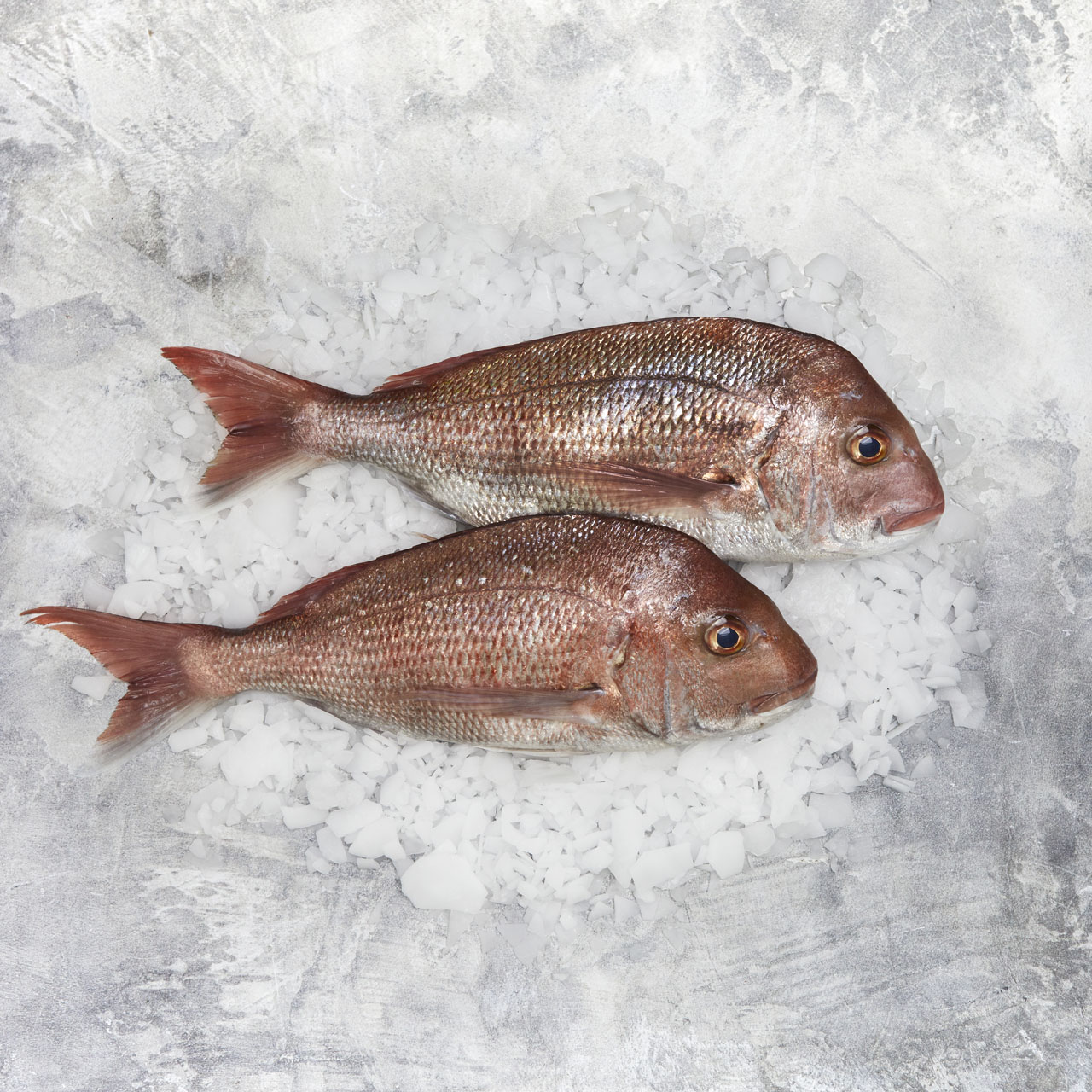 Sanford and Sons | Buy Whole Snapper Fish | Sanford and Sons