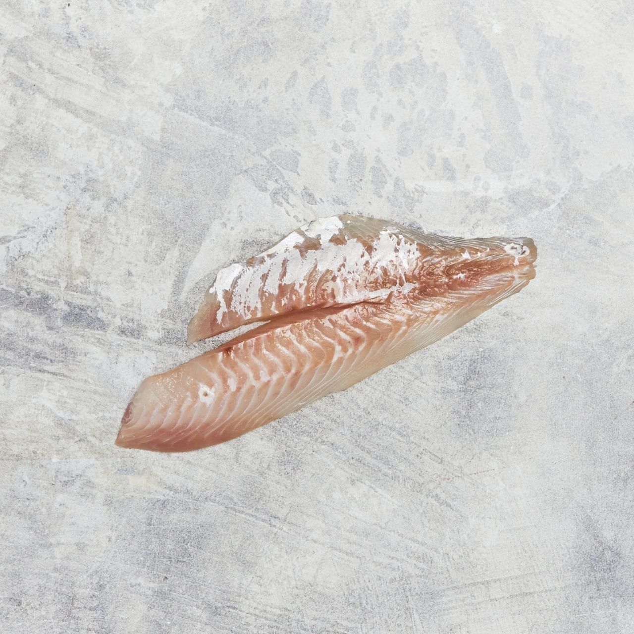 Sanford and Sons | Buy Whole Tarakihi Fish | Sanford and Sons