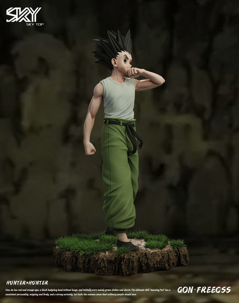*Pre-order * Skytop Studio HUNTERxHUNTER GON FREECSS Resin Statue ...