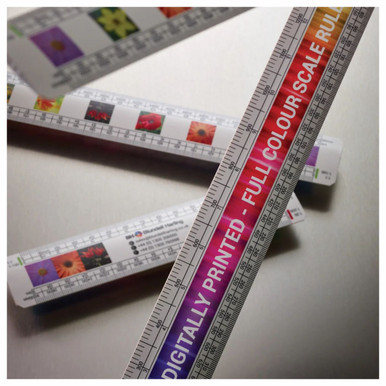 Custom Printed 15cm Oval Scale Rulers