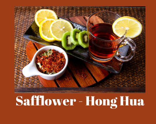 The Power of Hong Hua (Safflower) in Traditional Chinese Medicine - 1st ...