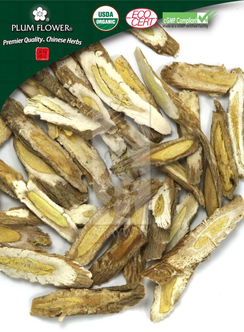 Ban Lan Gen 101: Everything You Need to Know About Isatis Root