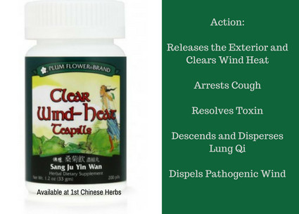 Clear Wind Heat Teapills - Sang Ju Yin Wan