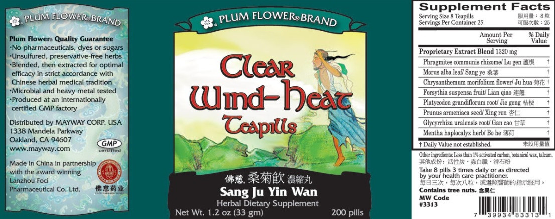 Clear Wind Heat Teapills - Sang Ju Yin Wan
