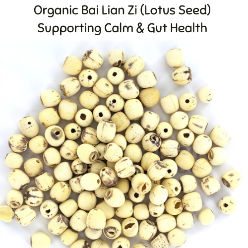 Gou Qi Zi (Goji Berries) Benefits