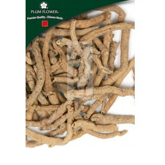 Yuan Zhi (Polygala Tenuifolia): Benefits, Uses, and TCM Guide