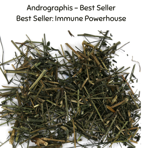 Shan Yao (Chinese Yam Root) – A True Top Herb in TCM which supports ...