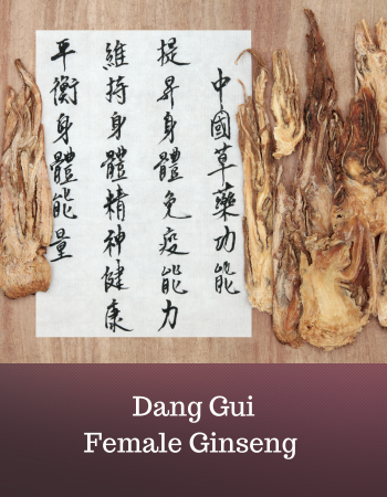 Discover the Power of Dang Gui: Unlock the Secrets of "Female Ginseng ...
