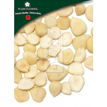 Bitter Apricot Seed - Xing Ren - Bulk Herb