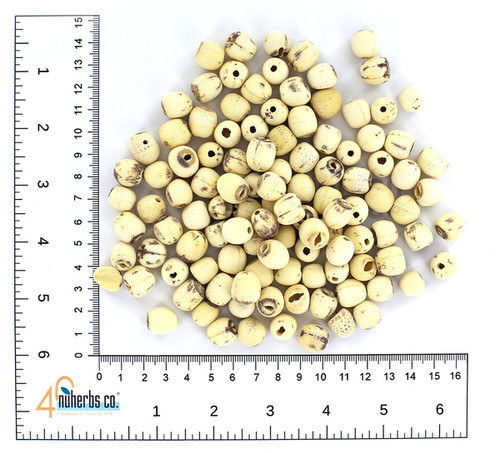 The Amazing Health Benefits Of Organic White Lotus seed