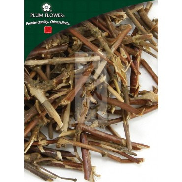 Ren Dong Teng (Honeysuckle Vine) - Health Benefits, Uses, and Natural ...
