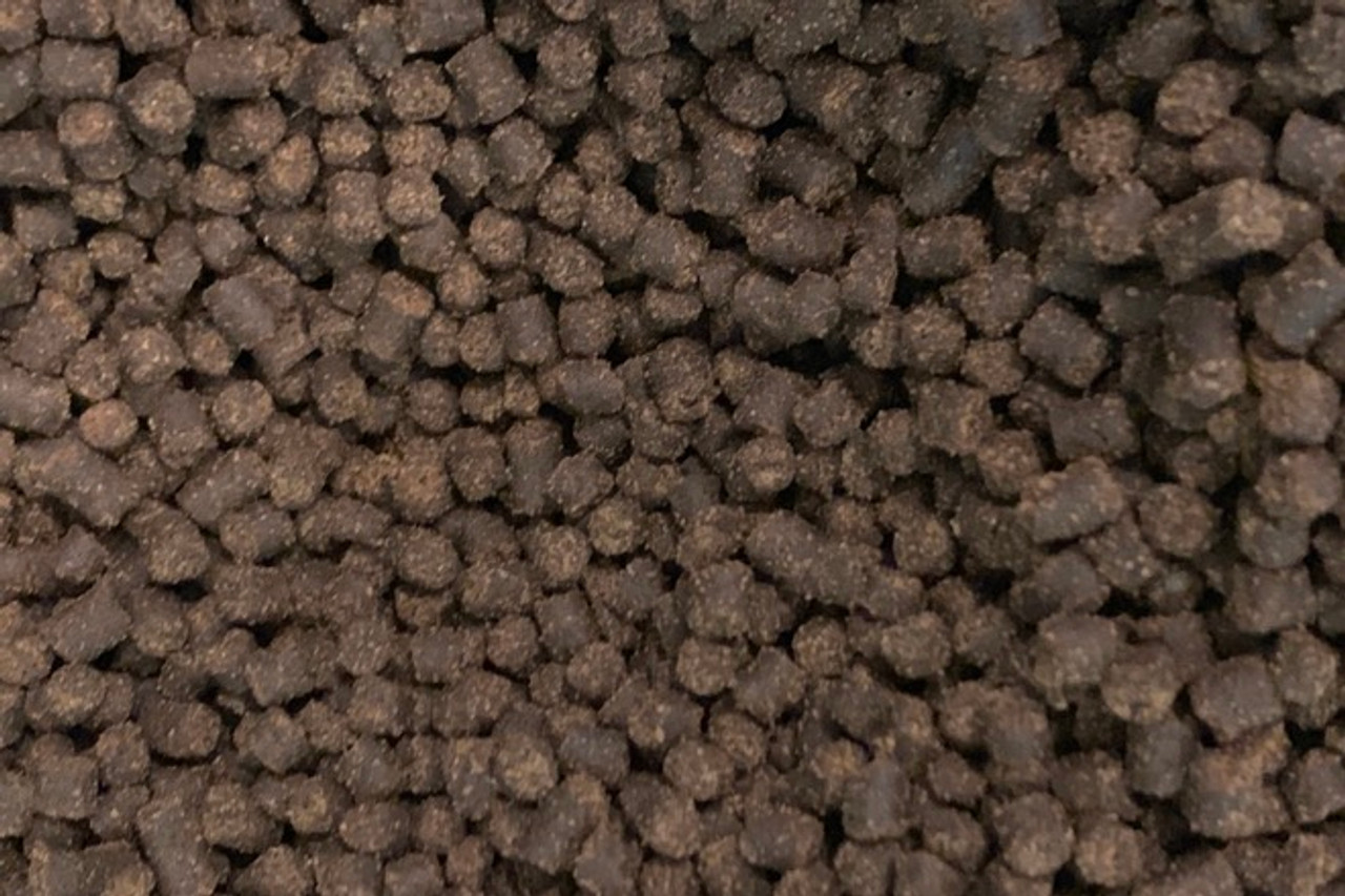 The Benefits of Salmon Pellets for Axolotls: A Nutrient-Rich Diet - The ...