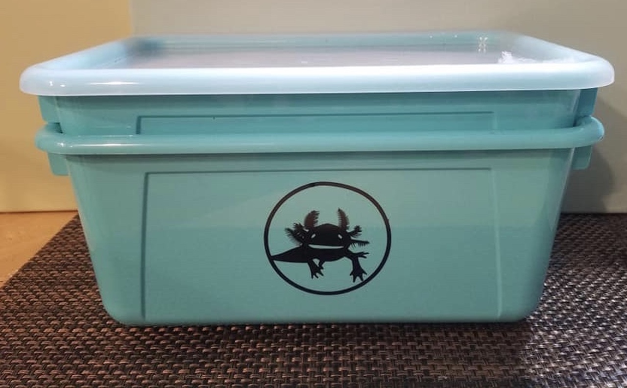 Worm Farms Explained! The "Food Machine" for Axolotls - The Mottled Lotl