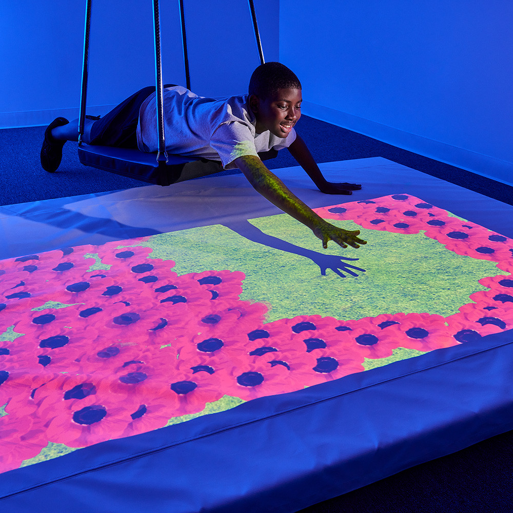 Southpaw Obie Pro Interactive Projection System - Interactive ...