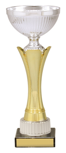 Equity - Gold & Silver 260mm - Icon Awards and Engraving Services
