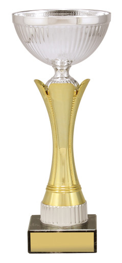 Equity - Gold & Silver 290mm - Icon Awards and Engraving Services