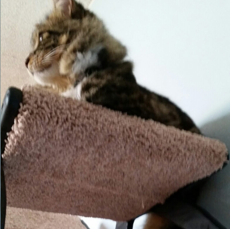 Whimsical Artisan Handmade Cat Tree