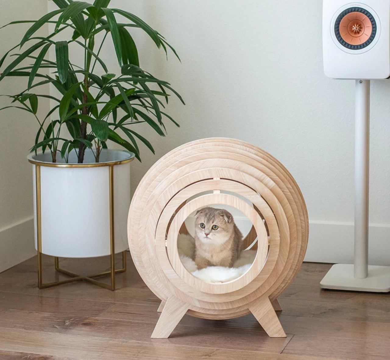 Stratford Modern Sphere Wooden Cat Bed