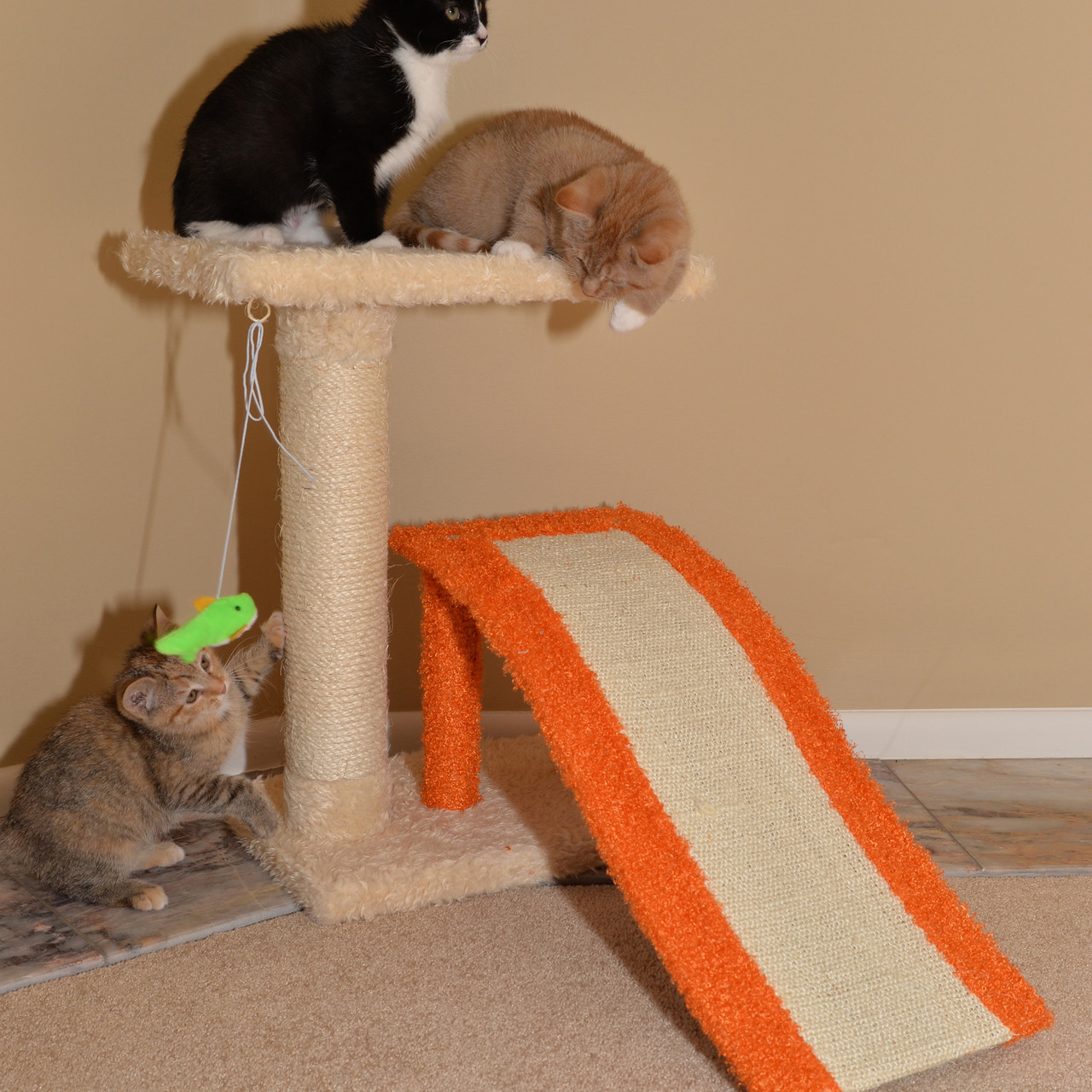 Cat's Dream Two-Level Platform Wood Scratcher W Sisal Carpet Ramp