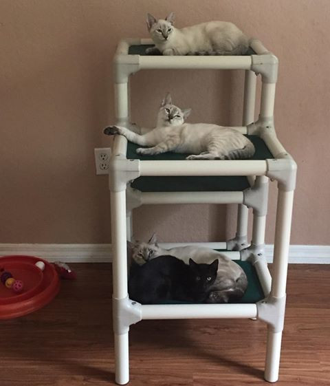 PVC Frame 3 Tier Cat Tree
