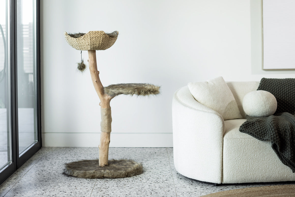 Uno Basket Wood and Woven Cat Tree