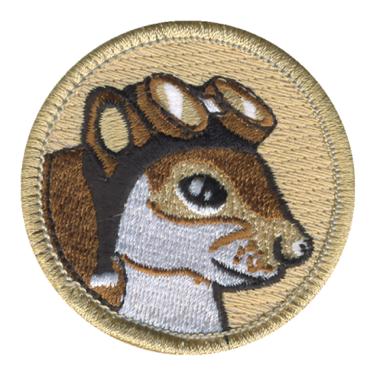 Flying Squirrel Patrol Patch