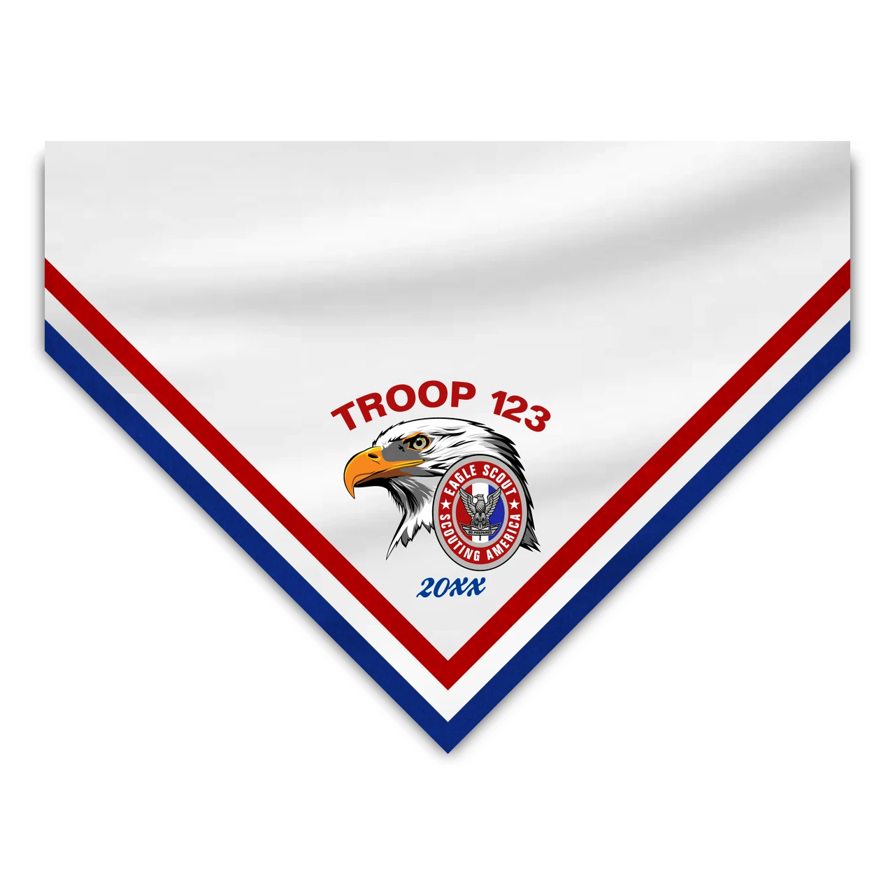 Hoja De Trabajo De Eagle Scout The Trail To Eagle Eagle Scout Tool