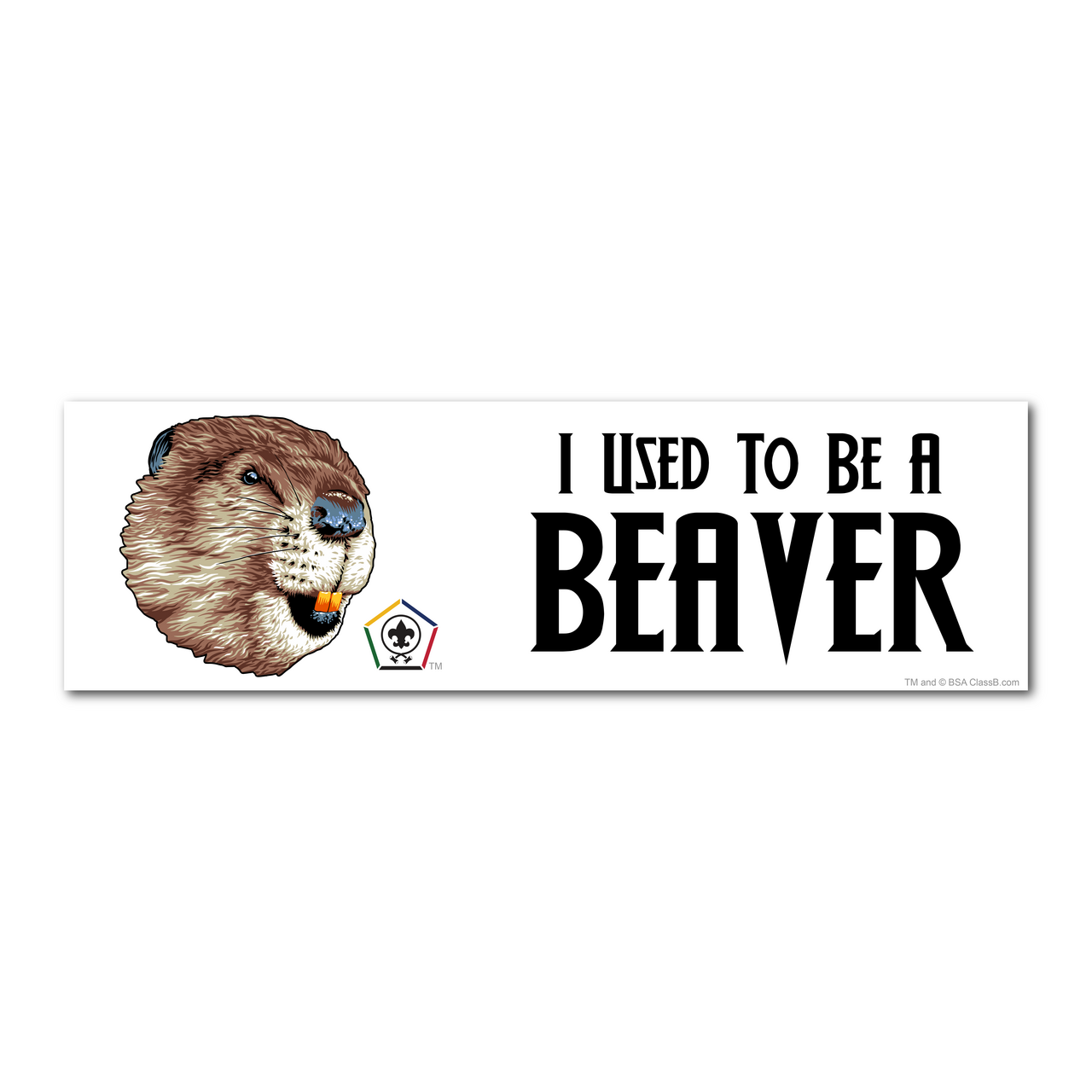 Wood Badge Bumper Sticker - Realistic Beaver - White (SP9133)