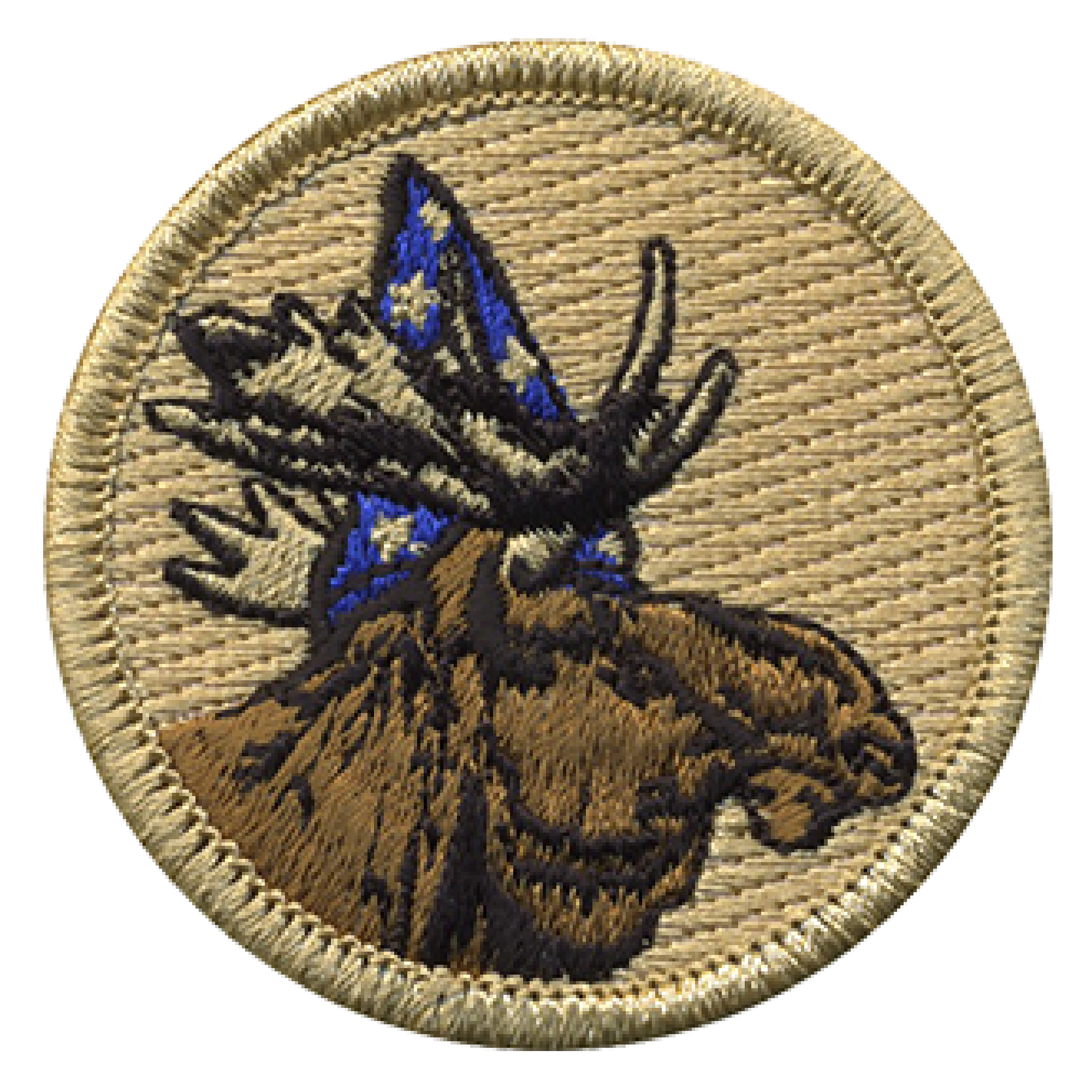 Wizard Moose Scout Patrol Patch