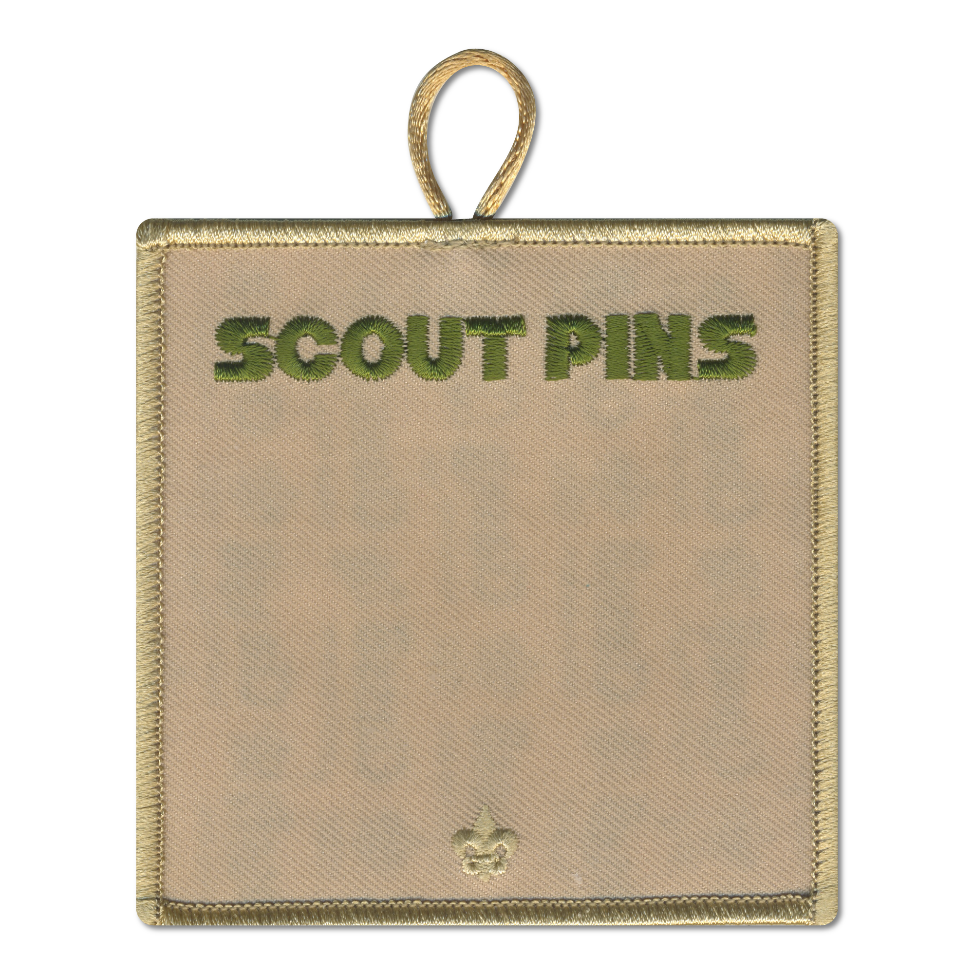 Scout Pins Display Embroidered Patch