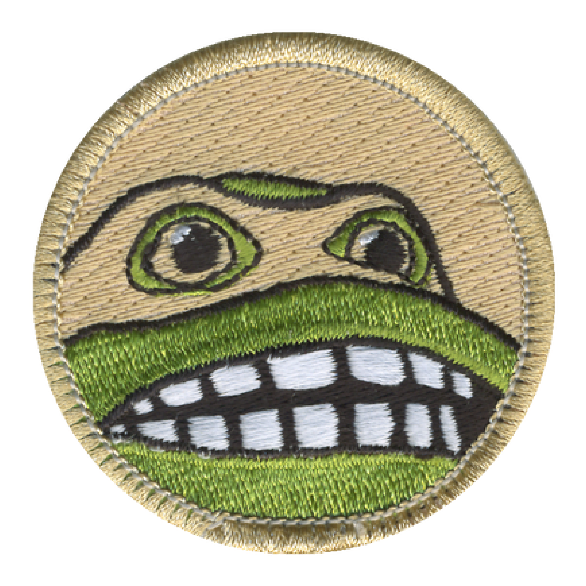 Turtle Ninja Patrol Patch