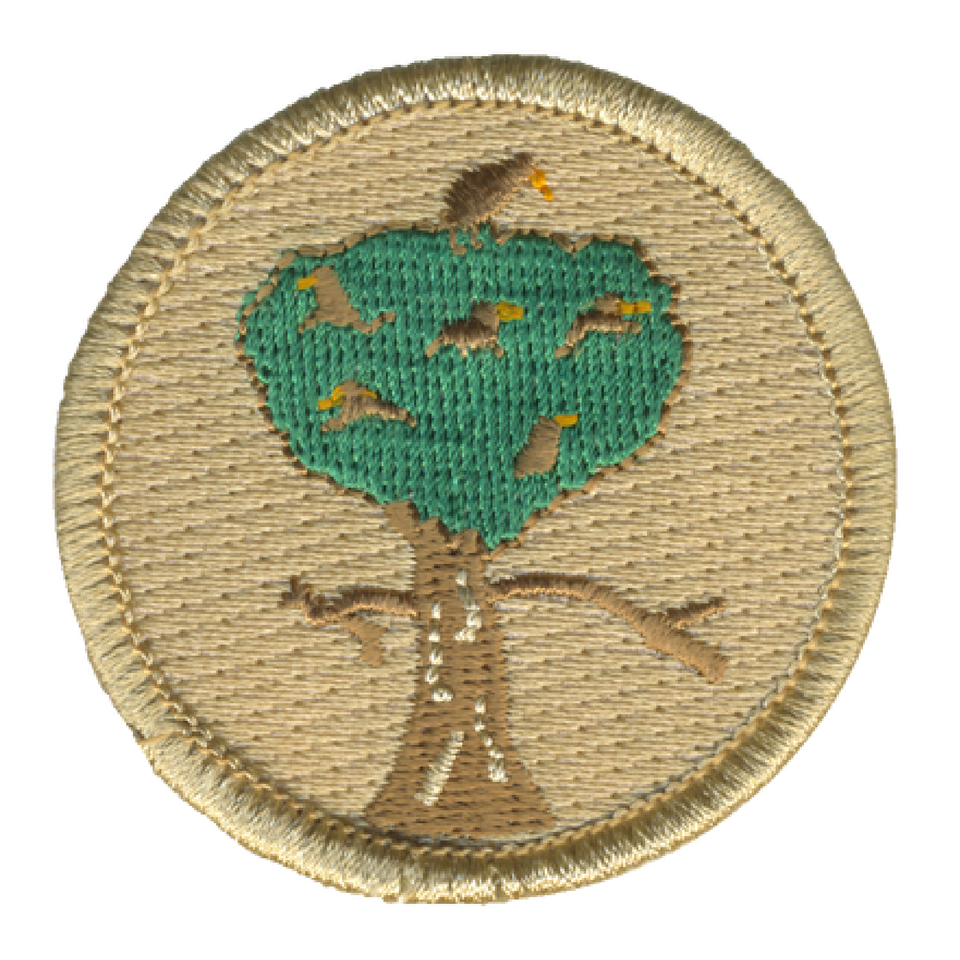 Kiwi Tree Patrol Patch – Embroidered Scout Uniform Patch – 2 in Round ...