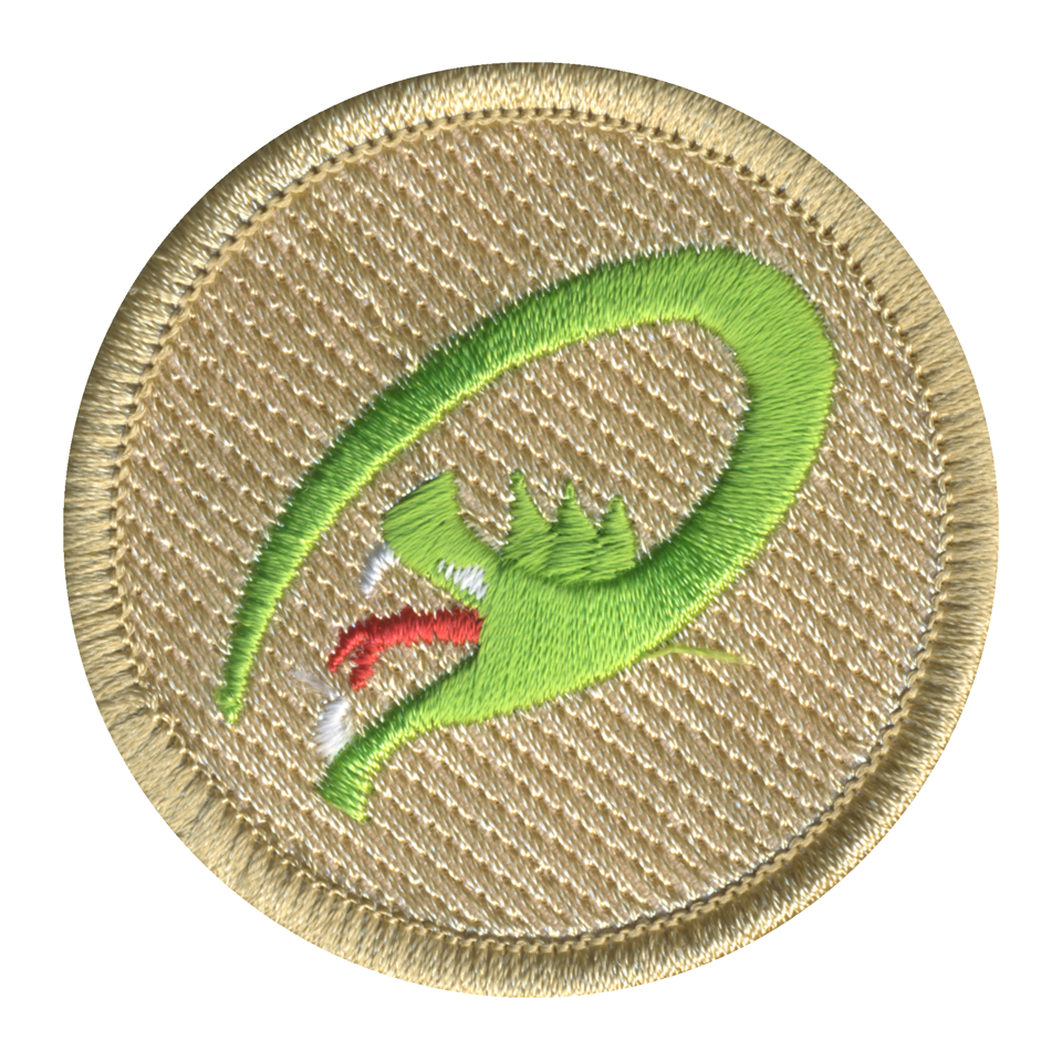 Viper Patrol Patch