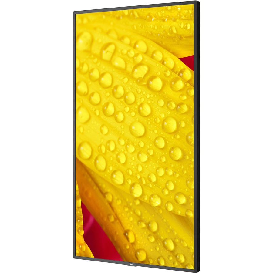 NEC Display 43" Ultra High Definition Commercial Display