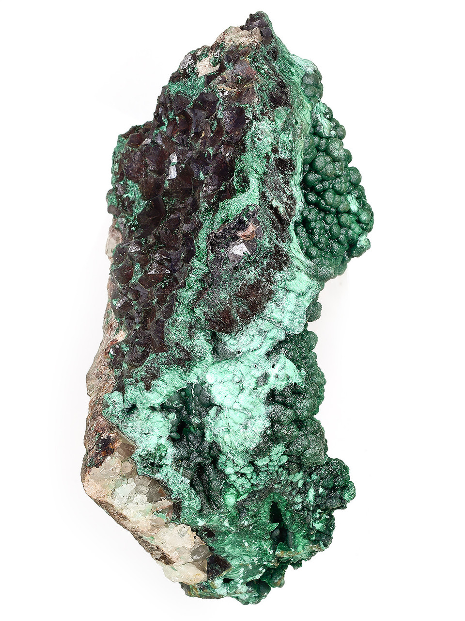 Botryoidal Malachite Cluster - 520-JAK-02 - Exquisite Crystals