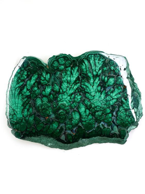 Malachite Slice - 217-JAK-43 - Exquisite Crystals Malachite Slice - 217-JAK-43 - Exquisite Crystals