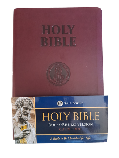 Catholic Bible: Douay-Rheims Verson - Premium Ultra Soft Cover ...