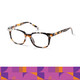 Optimum Optical | Stylish Sunglasses, Readers, and Eyeglass Accessories