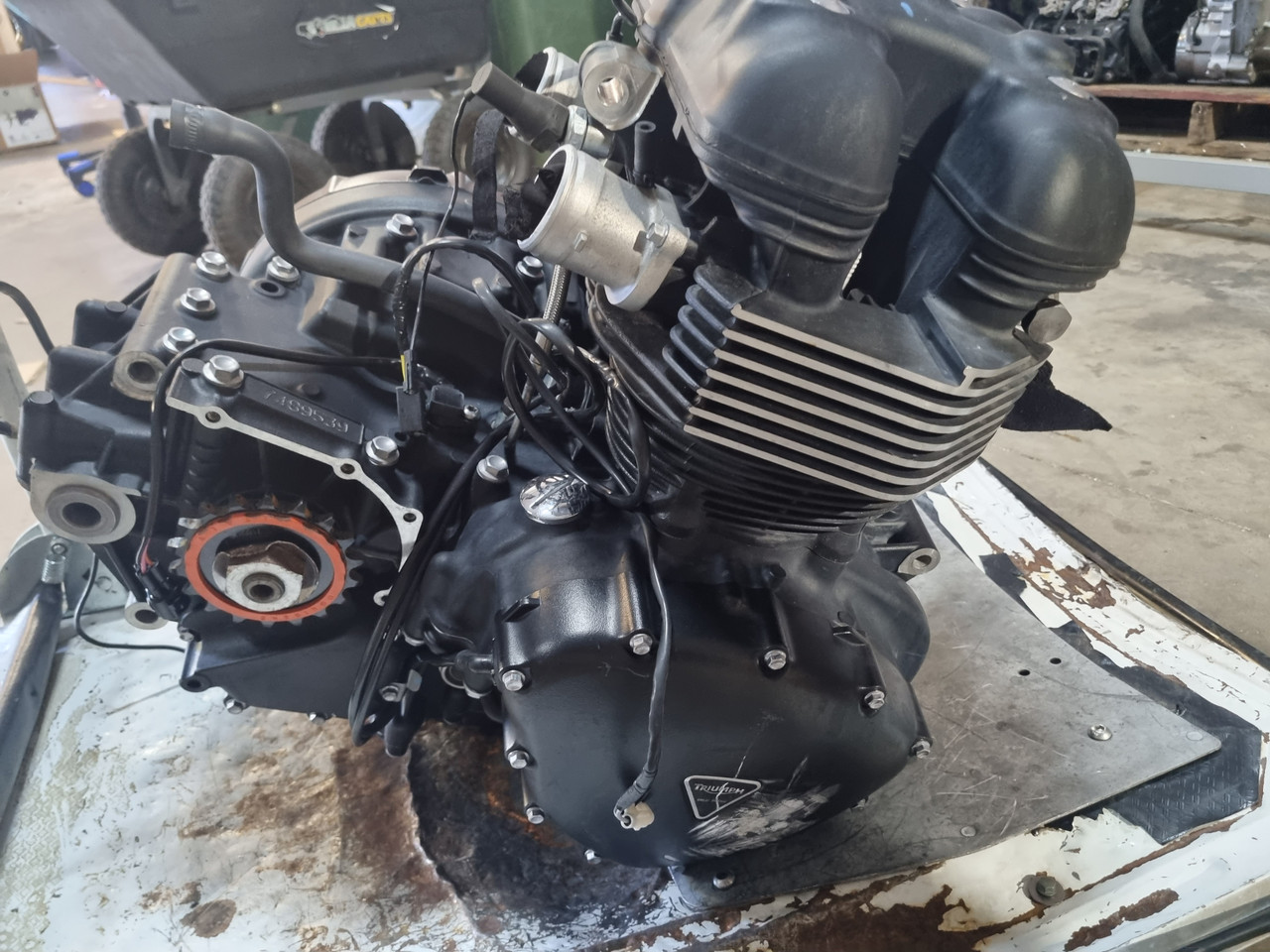 Motor Engine 865 Triumph Bonneville T100 Scrambler Thruxton EFI 28000km ...