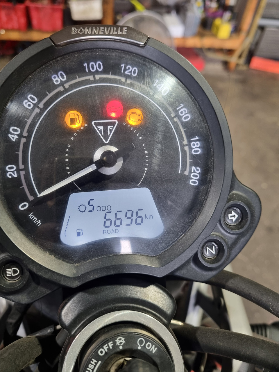 Speedo Speedometer Triumph Street Scrambler kmh 19-24 T2503238 - Bike ...