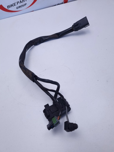 Instrument light speedo harness Harley Davidson Sportster XL1200 XL883 ...