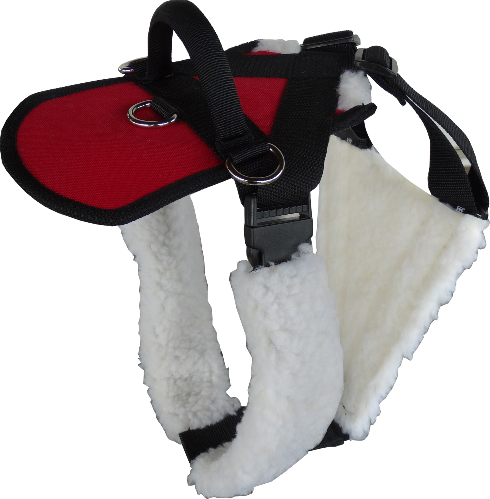 Service & Therapy Dog Balance Harness w/ Sherpa Padding at ActiveDogs