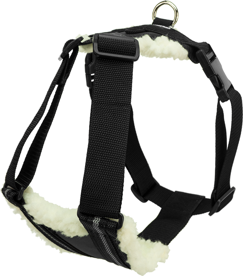 Dog Muscle Building Equipment & K8 Weight Training Gear - Active Dogs