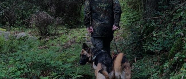 The 5 Phases of Search Dog Training: How to Train a Tracking Dog ...