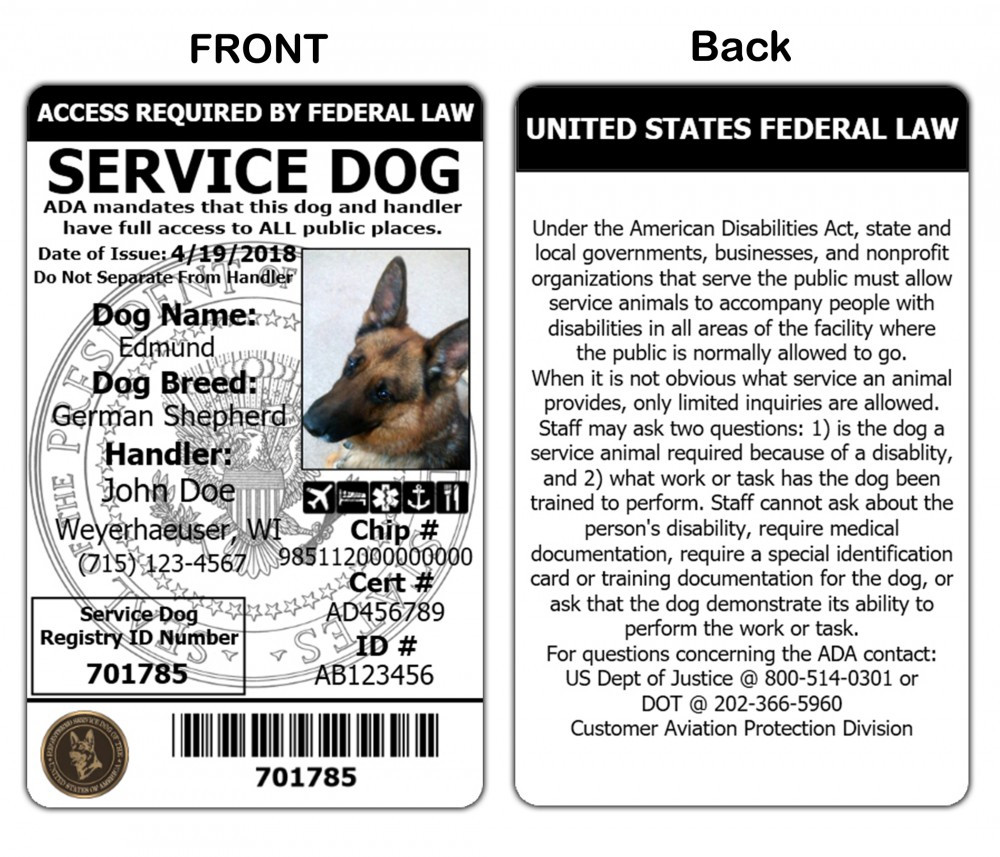 Premium Service Dog Starter Kit w/ ID Card, & More - ActiveDogs