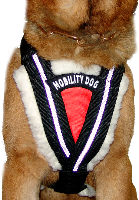 Service & Therapy Dog Balance Harness w/ Sherpa Padding at ActiveDogs