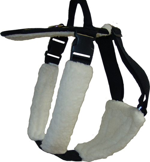 Service & Therapy Dog Balance Harness w/ Sherpa Padding at ActiveDogs